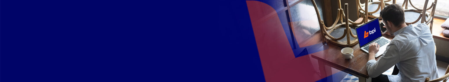 Login | BPI Auctions